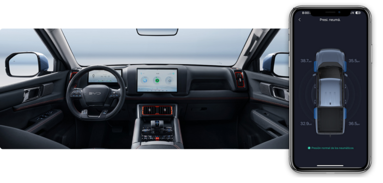 Shark DMO - Dalton BYD